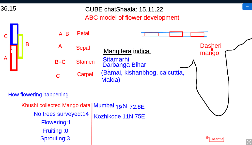 Understanding Mango Flower Development In Context Of Mango Mapping
