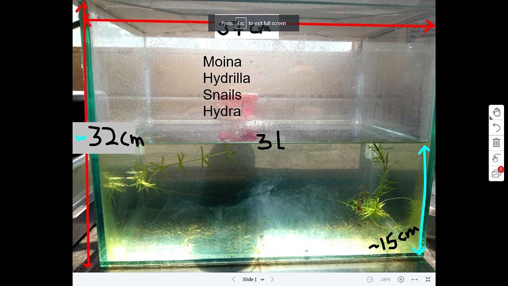 Three different moina culture technique used by Cubists :26/10/2022 ...