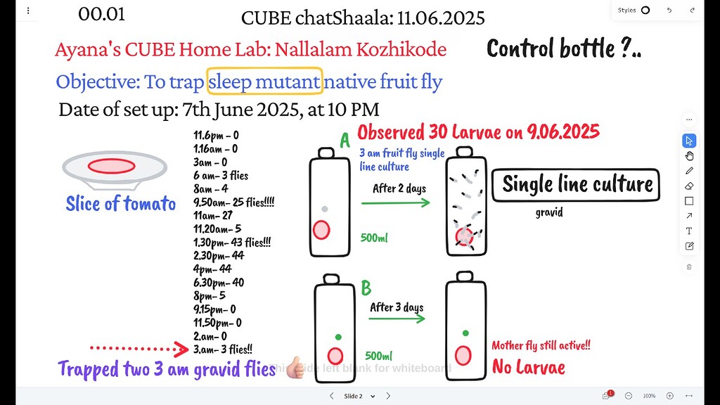 Identification and screening of sleep mutant fruit flies using home lab ...